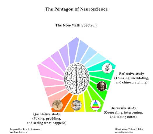 The Pentagon of Neuroscience — A Listicle for Understanding the ...